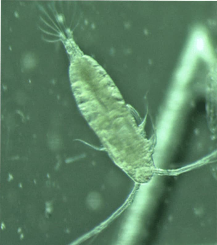 Winter 2019 - Apalachicola National Estuarine Research Reserve